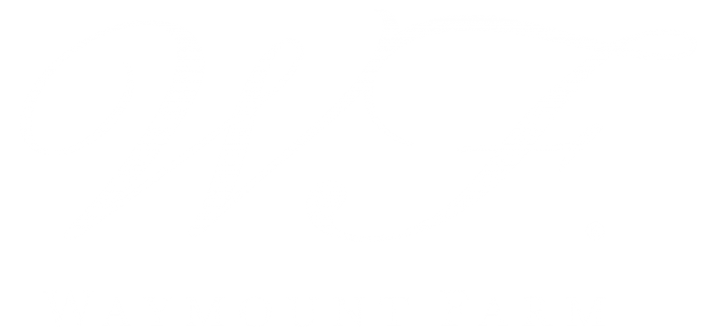 Waymount Farm NSW South Coast | Luxury Country Studio